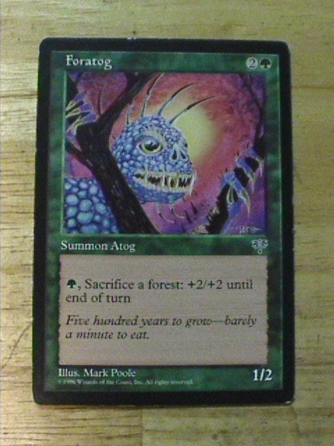 楽しいギャザリング: 森エイトグ(Foratog)